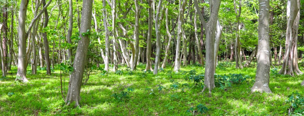 料金表 | fangsong